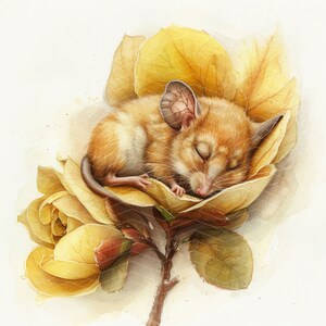 Watercolor Mouse Sleeping in Flower Clipart: Baby Nursery Art (JPG ...