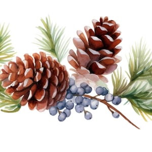 12 WINTER PINE CONES Digital Image, Christmas Pine Tree Branch, Winter ...