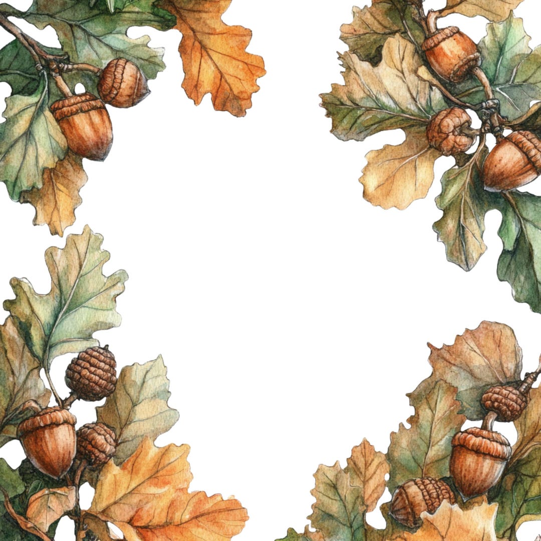 Watercolor Oak & Acorns Frames Clipart: Scrapbooking Art (digital ...