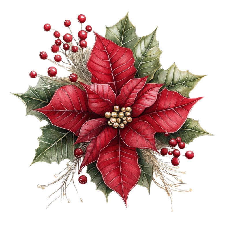 10 PNG Christmas Poinsettia Decor, High-quality Digital Download ...