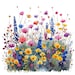 Bright Wildflower Clipart: Floral PNG Illustrations (digital Download ...
