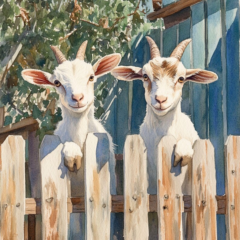 12 GOATS BEHIND the FENCE Clipart, Goat on a Farm Clipart, Goat ...