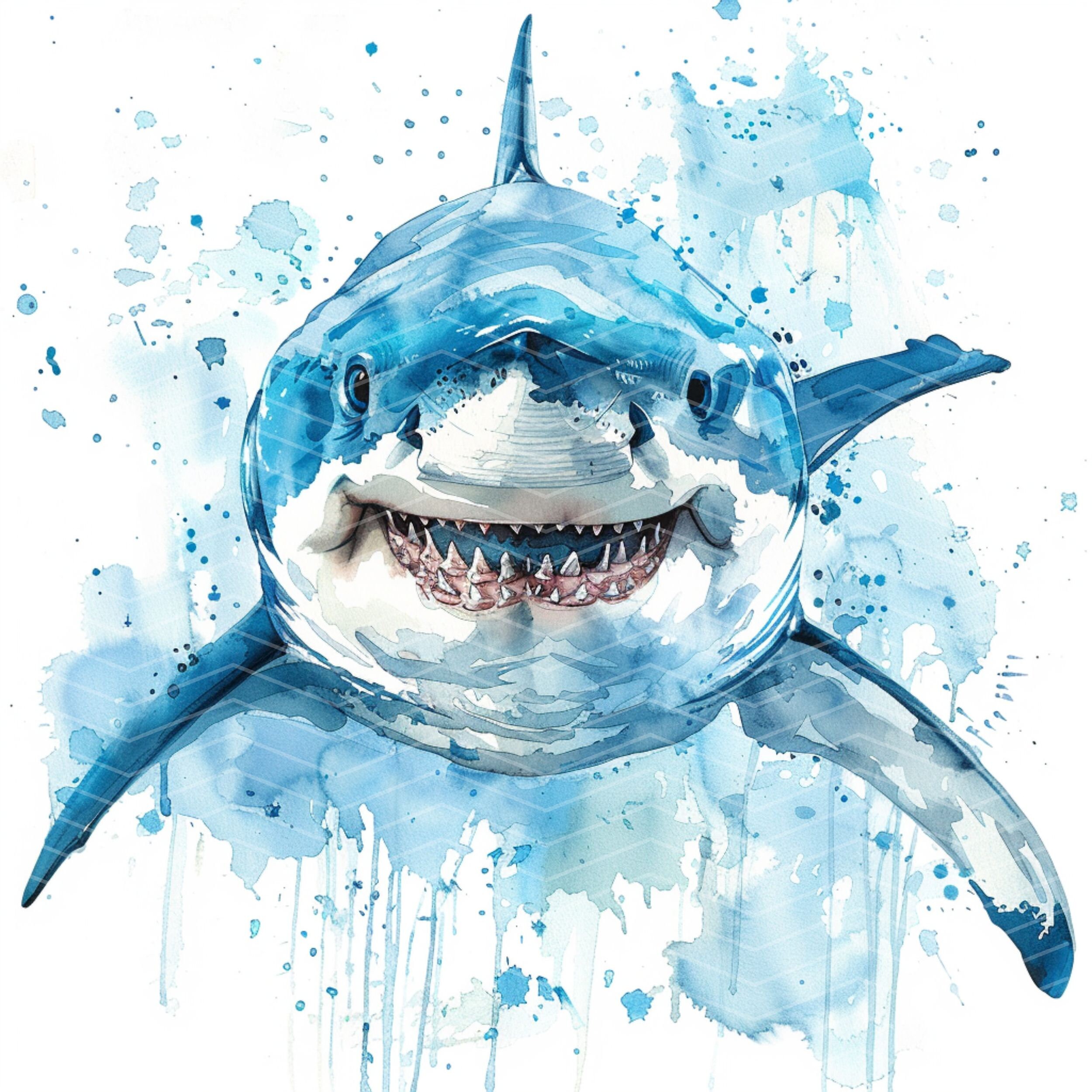 Watercolor Shark Clipart: Sea Fish Illustrations (JPG Digital Download ...