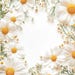 Daisy Frame Clipart: Watercolor Floral Borders (JPG Digital Art ...
