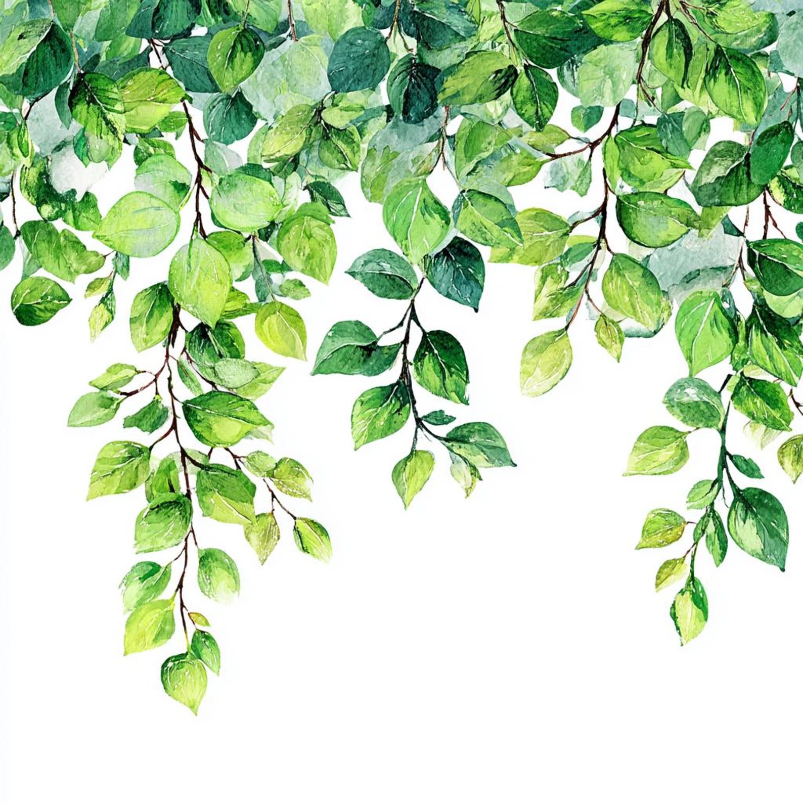 Watercolor Green Leaves Clipart: Botanical PNG Branches (digital ...