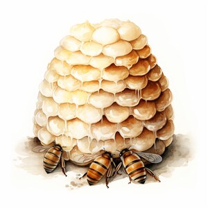 12 PNG Beehive Clipart, Bees Honeycomb Clipart, Bees Honey Clipart ...