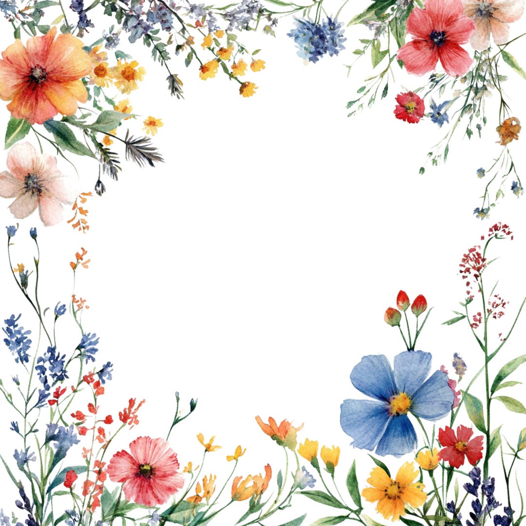 12 Meadow Watercolor Flowers Frames Clipart, High-quality PNG, Digital ...