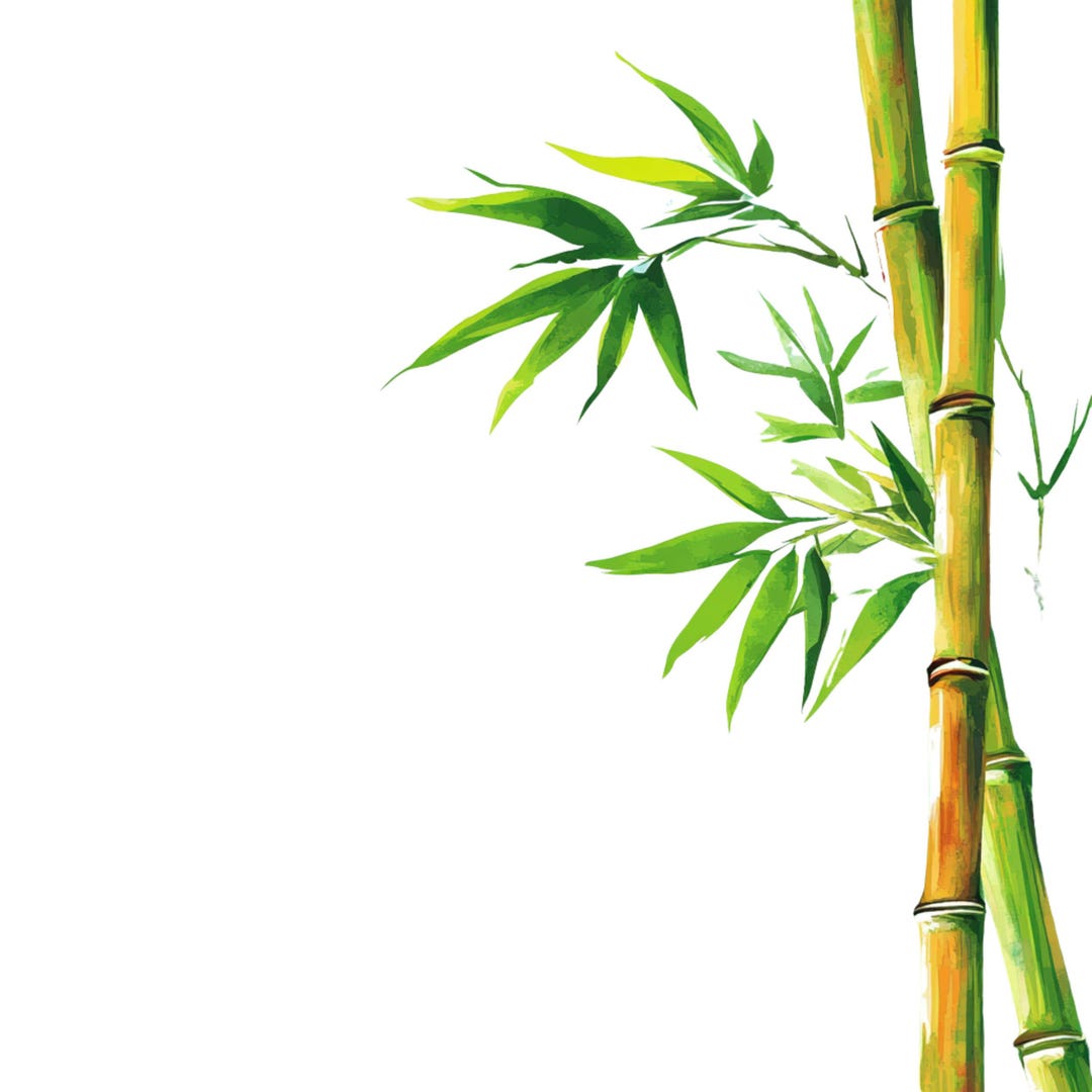 Watercolor Bamboo Border Clipart: Botanical Frame (PNG Digital Download ...