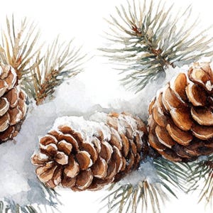 12 WINTER PINE CONES Digital Image, Christmas Pine Tree Branch, Winter ...