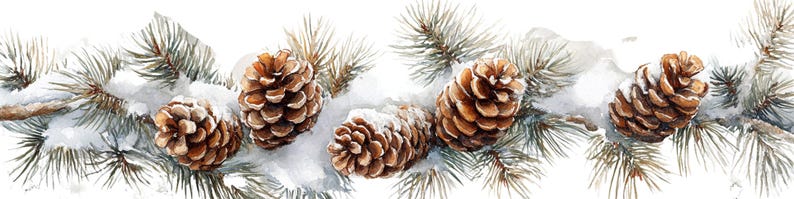 Winter Pine Cones Digital Image: Christmas Tree Branch Clipart (PNG ...