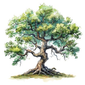 10 TREE OF WISDOM Cliparts, Png Tree Image, Watercolor Digital Tree ...