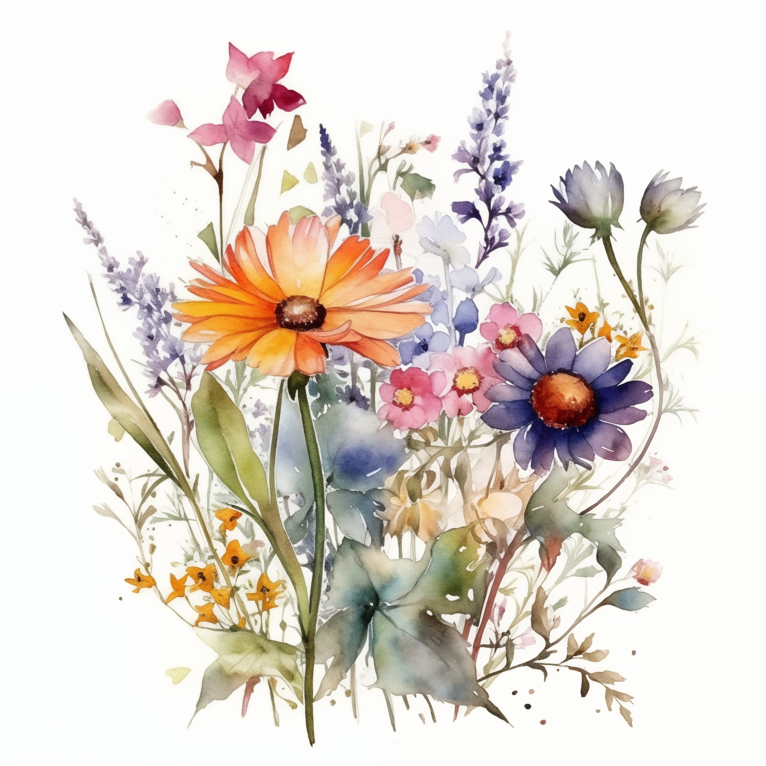 Watercolor Wildflower Clipart, Meadow Flowerbed PNG (digital Download ...