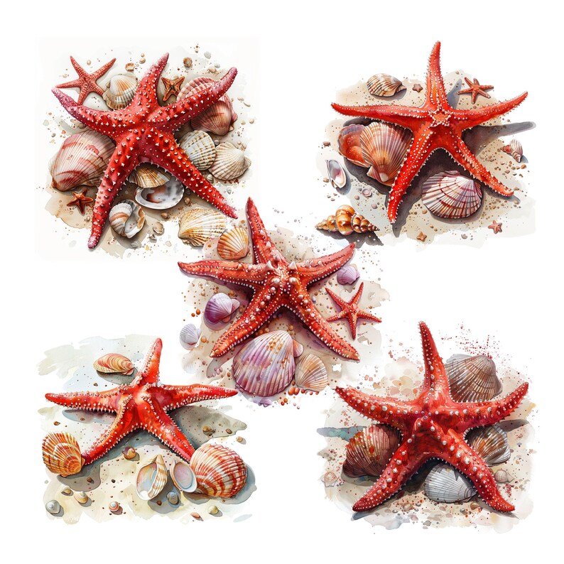 24 WATERCOLOR STARFISH CLIPARTS, Jpg Starfish Image, Starfish on Sand ...