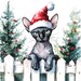 12 CHRISTMAS SPHYNX CAT Digital Image, Cute Sphynx Cat Illustartion ...