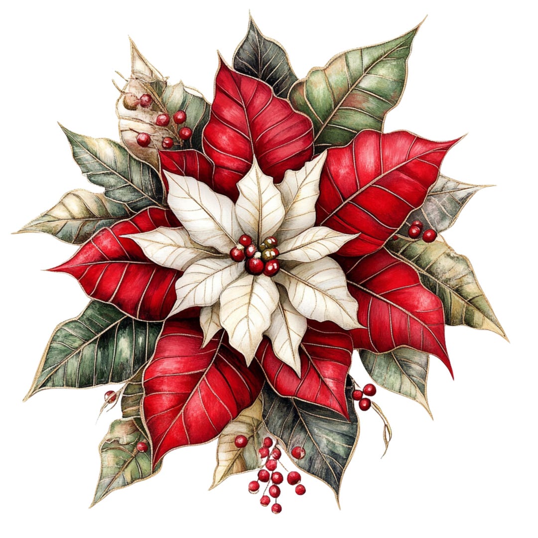 10 PNG Christmas Poinsettia Decor, High-quality Digital Download ...