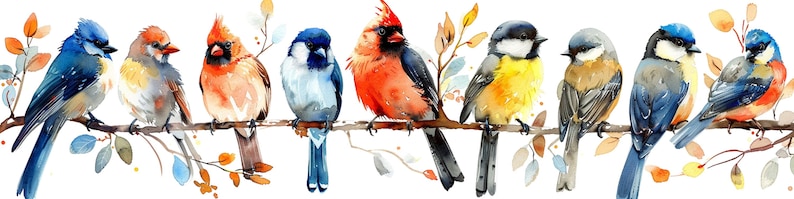 12 PNG Wild Birds 4:1 Clipart for Print. Transparent Background Png ...