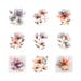 Abstract Watercolor Flower Clipart Bundle (digital Download) - Etsy