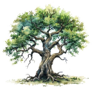 10 ENCHANTED TREE Cliparts,png Watercolor Tree, Digital Mystic Tree ...