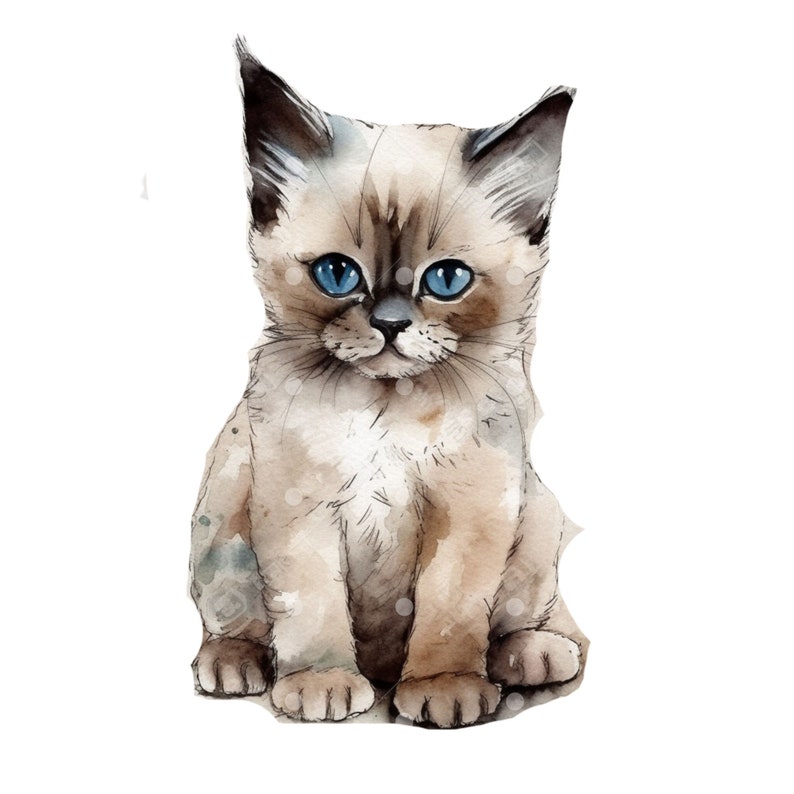 20 PNG Cartoon Grumpy Cat Clipart, Baby Grumpy Cat, Printable ...