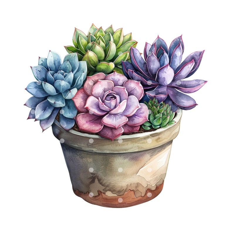 12 Succulents Clipart, PNG, Succulent Flowers Png, Printable Watercolor ...