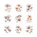 Abstract Watercolor Flower Clipart Bundle (digital Download) - Etsy