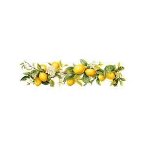 Lemon Branch Watercolor Clipart: Floral Border Image (JPG), Spring ...