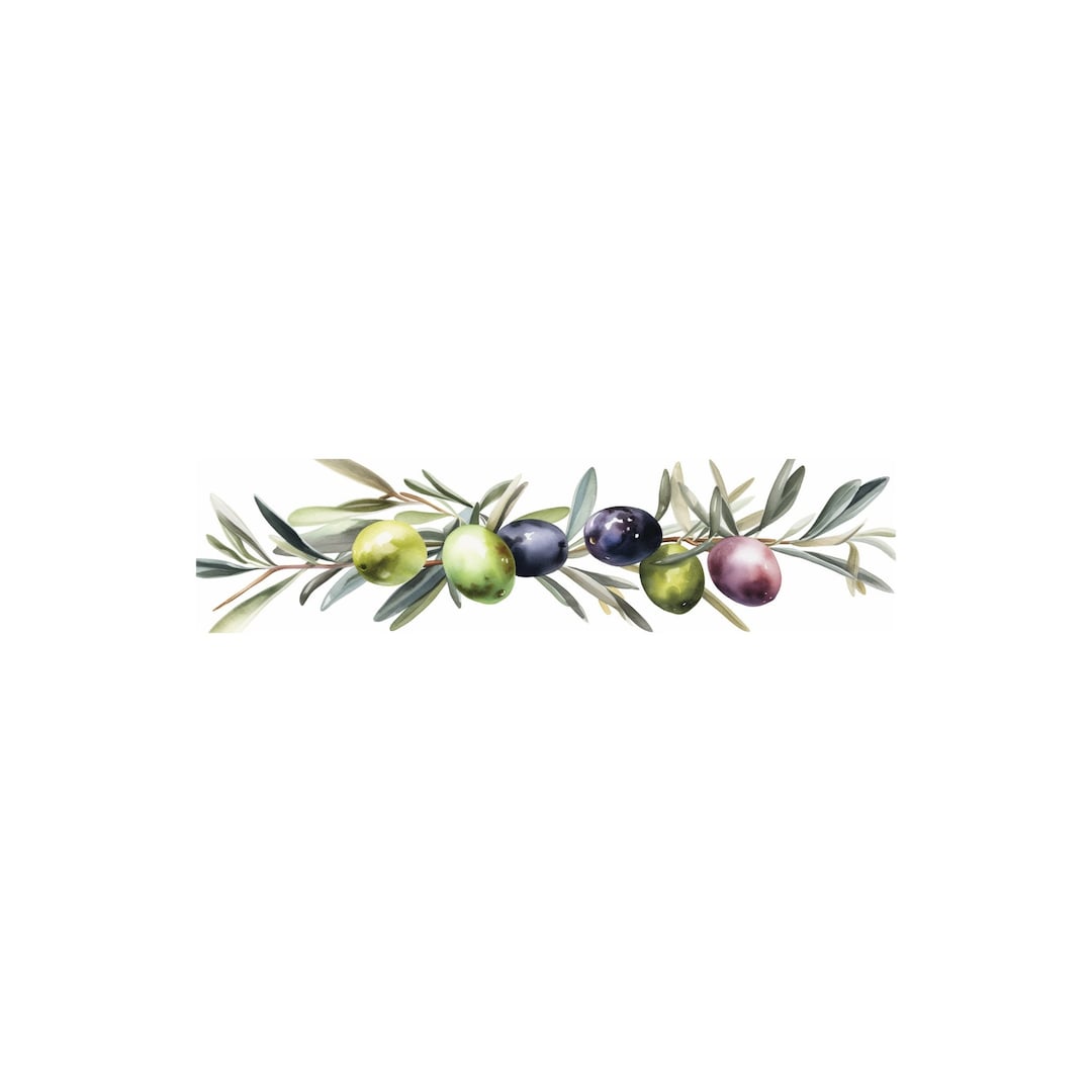 15 JPG Olive Branch Border Clipart , Olive Blanch Clipart, High Quality ...