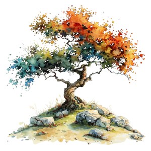 10 TREE OF WISDOM Cliparts, Png Tree Image, Watercolor Digital Tree ...