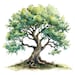 Watercolor Tree of Wisdom Clipart: PNG Digital Image (download) - Etsy