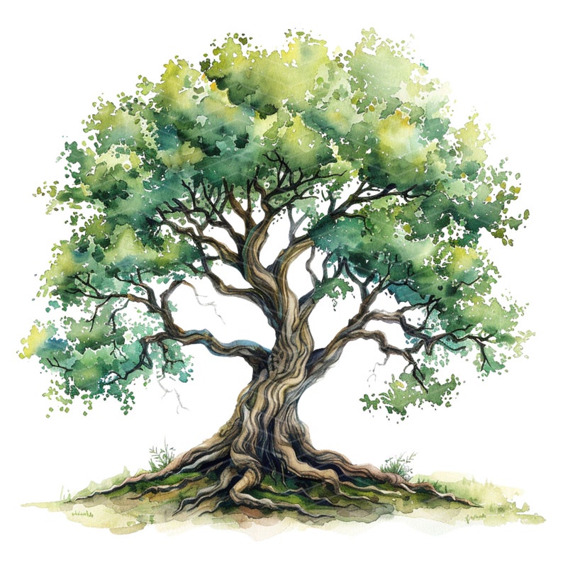 10 TREE OF WISDOM Cliparts, Png Tree Image, Watercolor Digital Tree ...