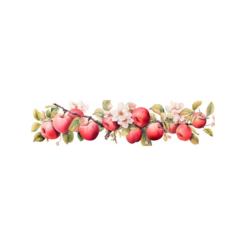 Watercolor Apple Branch Border Clipart: Floral Image (JPG, PNG), Spring ...