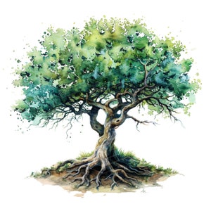 Enchanted Watercolor Tree Clipart: Mystic Woodland Graphics (PNG ...
