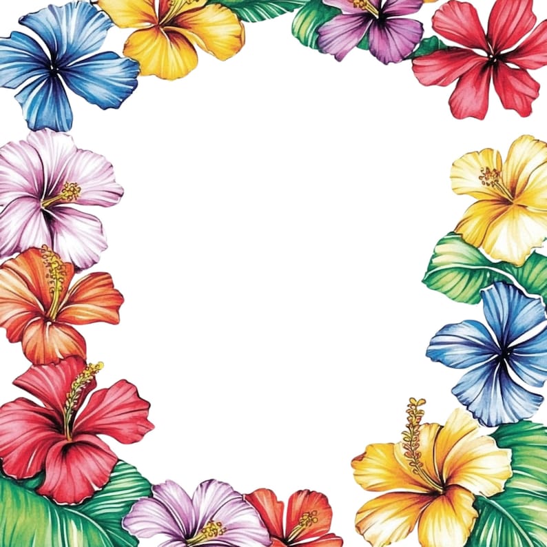 Watercolor Hibiscus Flower Frames Clipart: Hawaii PNG (digital Download ...