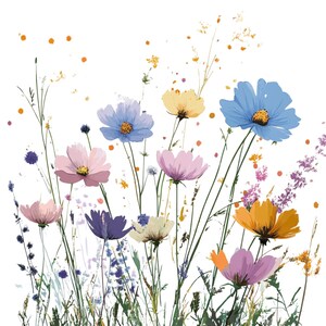 Watercolor Wildflowers Clipart: Floral PNG Set (digital Download ...
