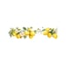 Lemon Branch Watercolor Clipart: Floral Border Image (JPG), Spring ...