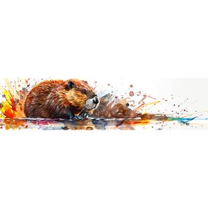 10 PNG Beaver Clipart Border, Beaver Illustration, High-resolution PNG ...