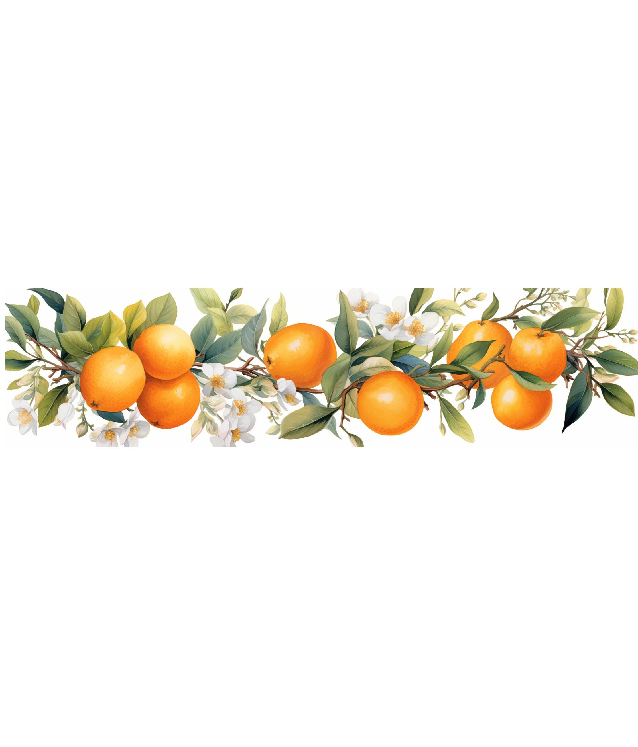 12 Orange Branch Border Clipart, Jpg, Orange Blanch Watercolor Clip Art ...