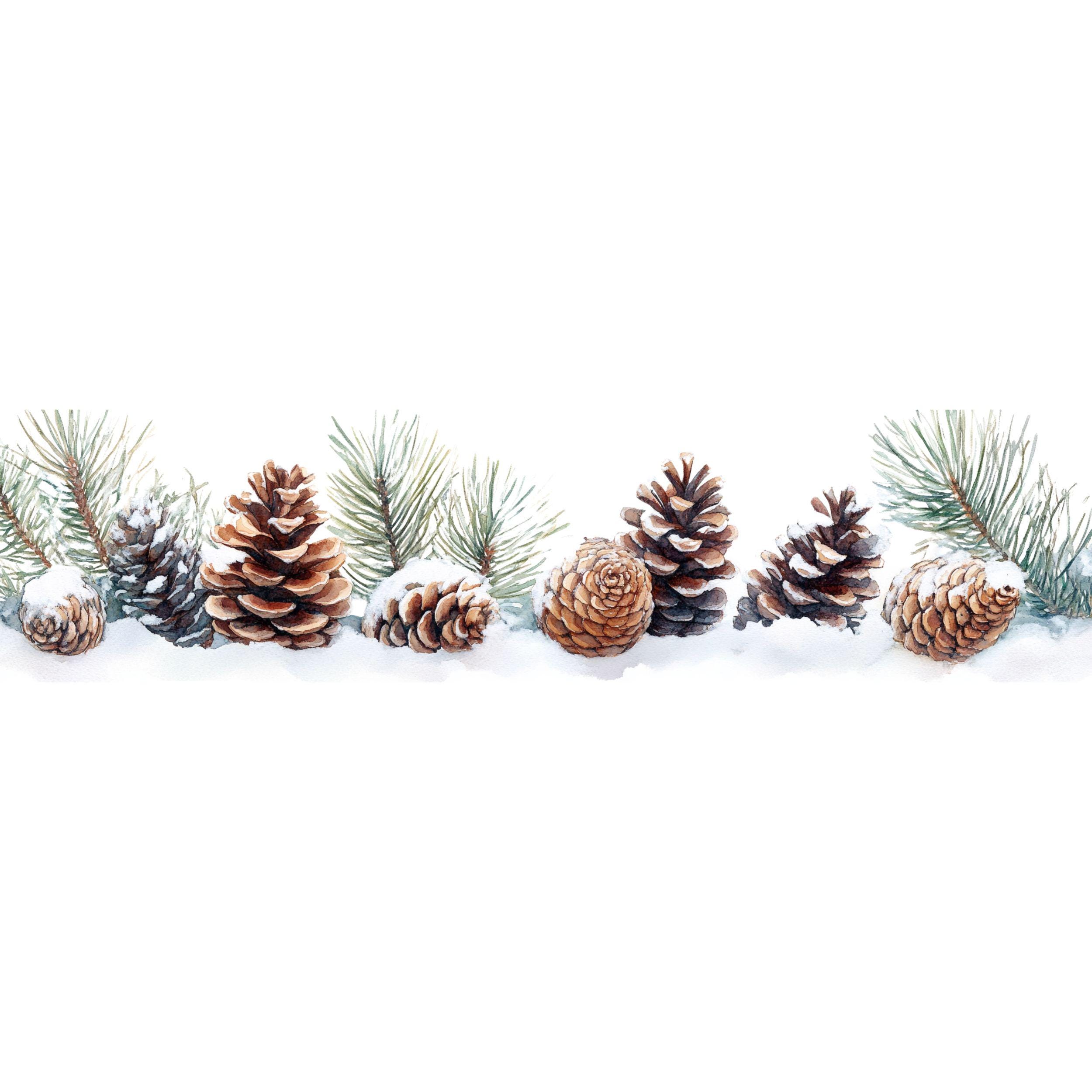 12 WINTER PINE CONES Digital Image, Christmas Pine Tree Branch, Winter ...