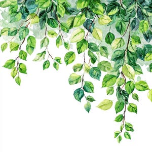 Watercolor Green Leaves Clipart: Botanical PNG Branches (digital ...