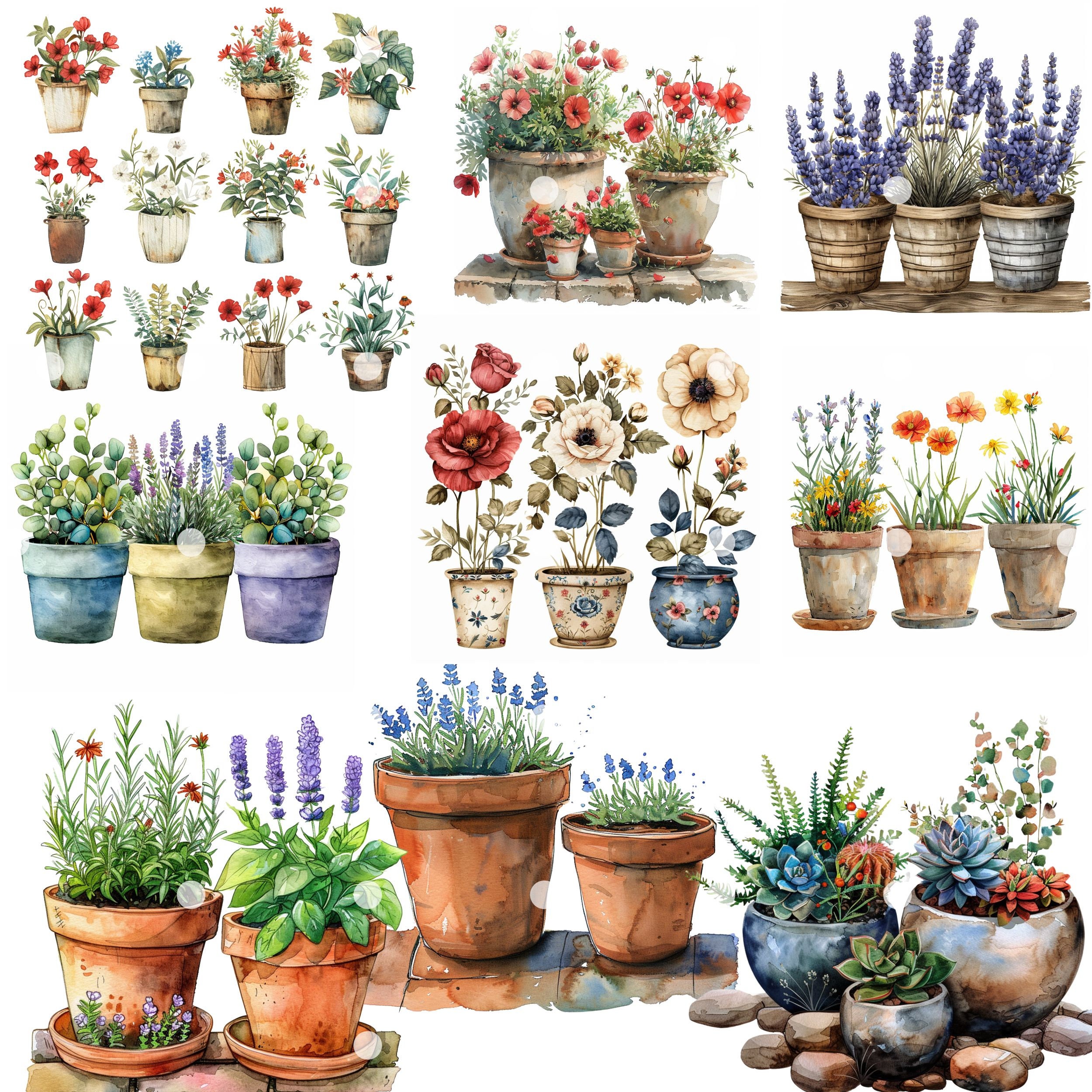 Watercolor Flowers in Pot Clipart: PNG Digital Images - Etsy