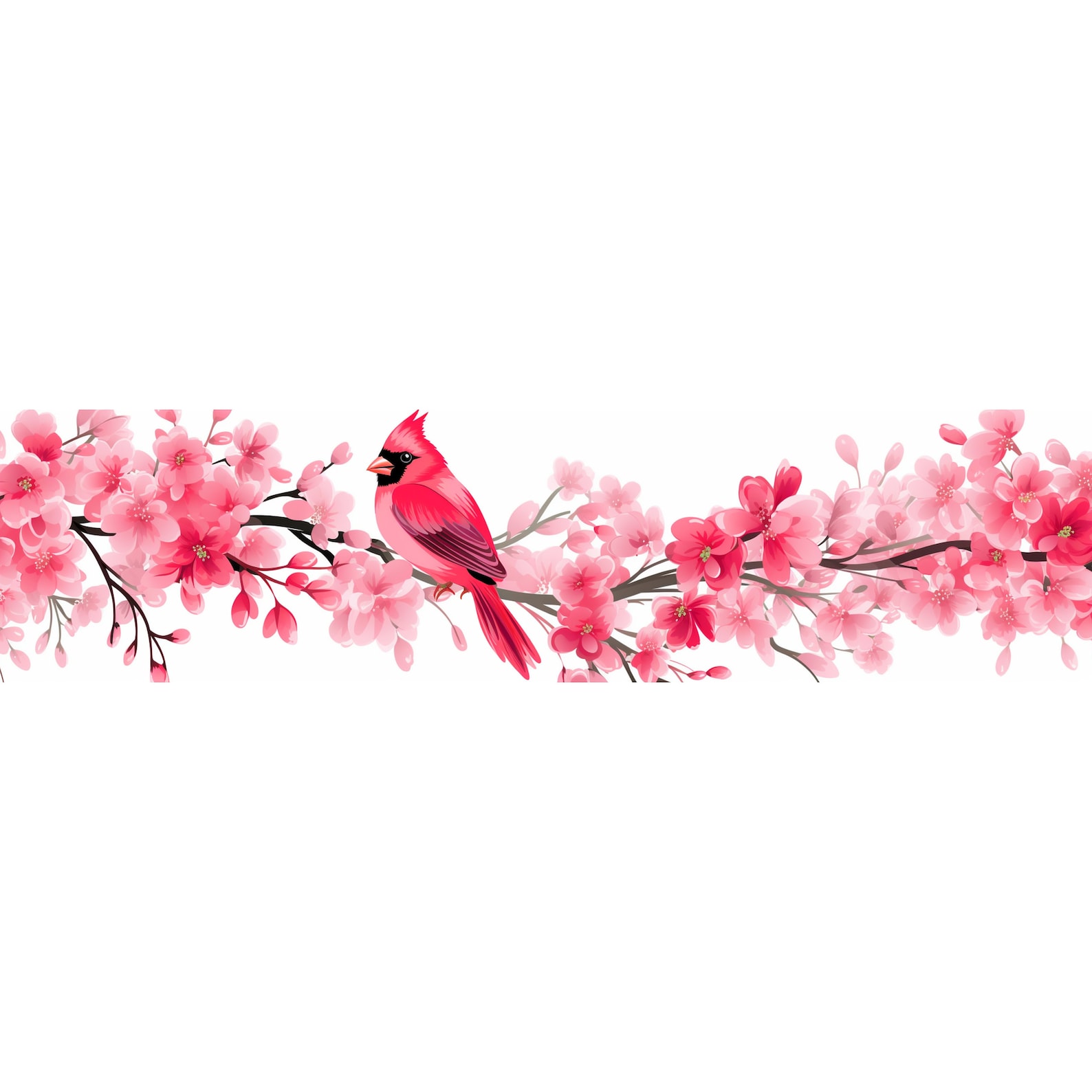 Cardinal Bird Clipart Border: High-resolution PNG (digital Download ...