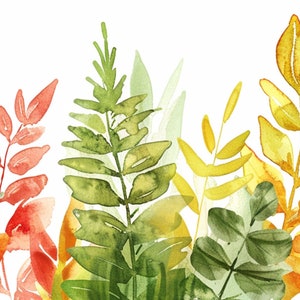 Fern Border Clipart: Watercolor Botanical Frame PNG (digital Download ...