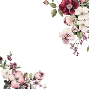 Watercolor Peony Flower Frames: Elegant Clipart (digital Download) - Etsy
