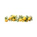 Lemon Branch Watercolor Clipart: Floral Border Image (JPG), Spring ...