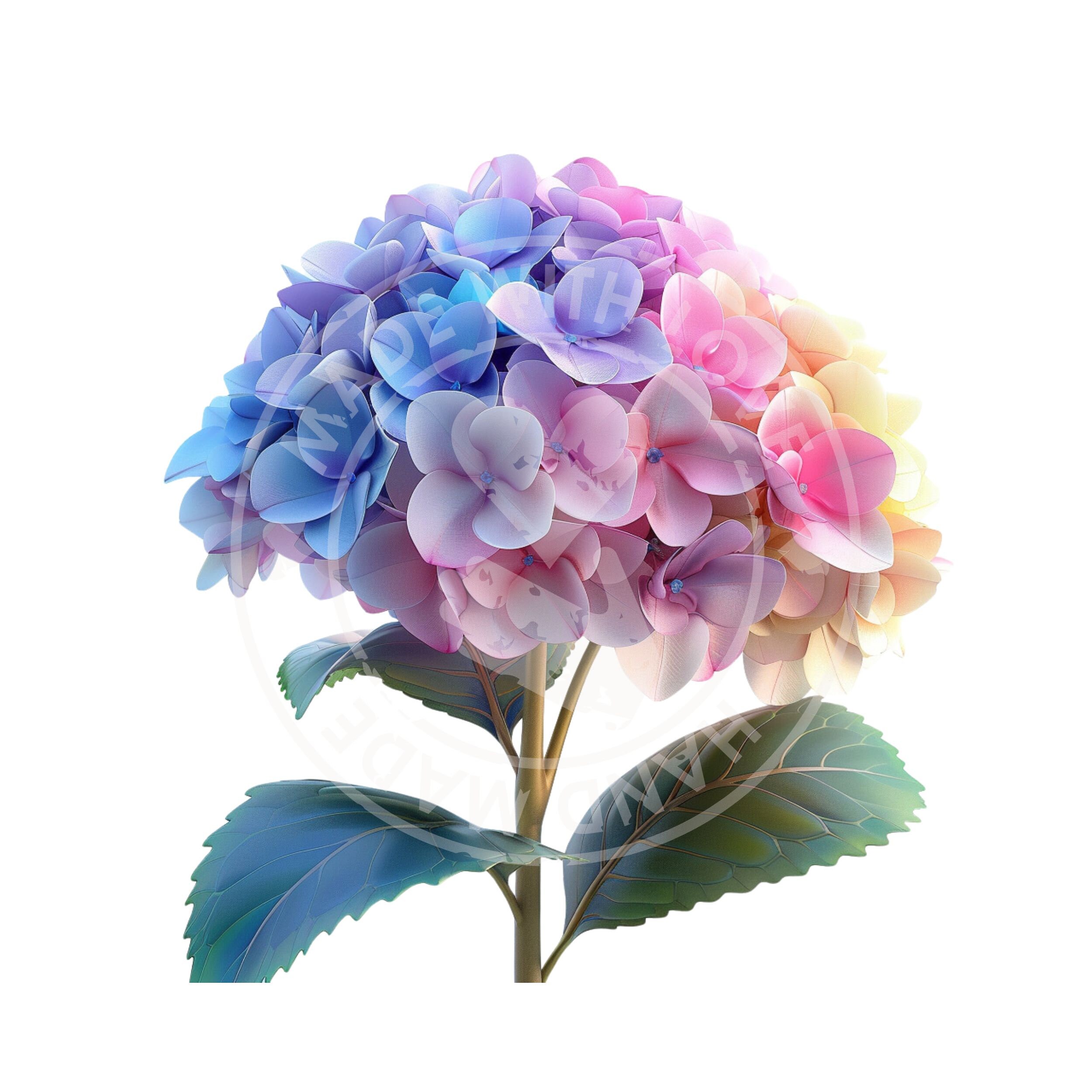14 PNG Watercolor Hydrangea Clipart: Transparent Background (digital ...