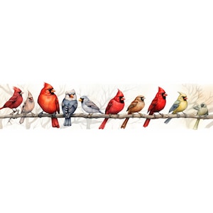 Cardinal Bird Clipart Border: High-resolution PNG (digital Download) - Etsy