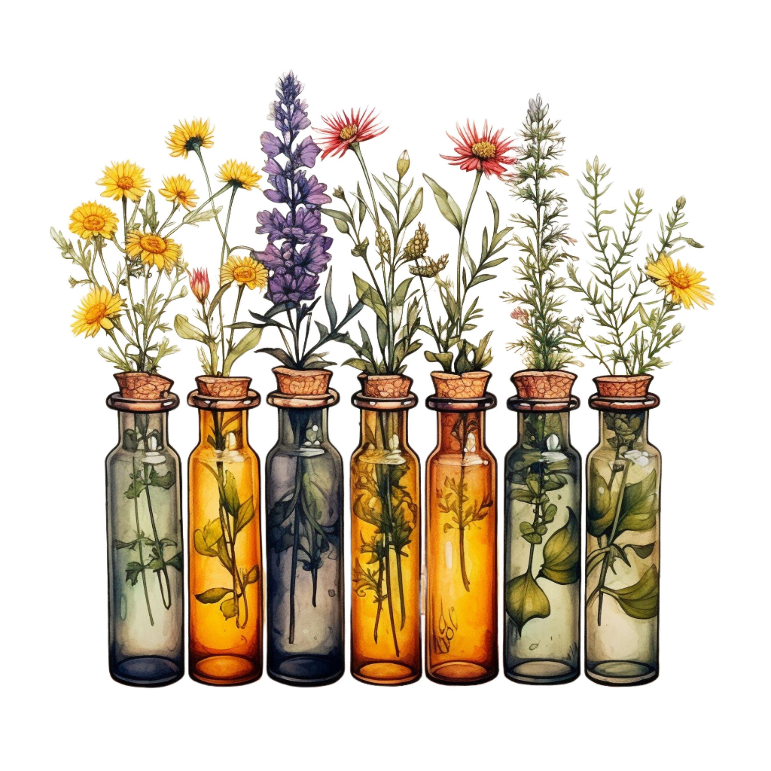 12 TINY FLOWERS in a BOTTLE Cliparts, Png Image of Small Bottles With ...