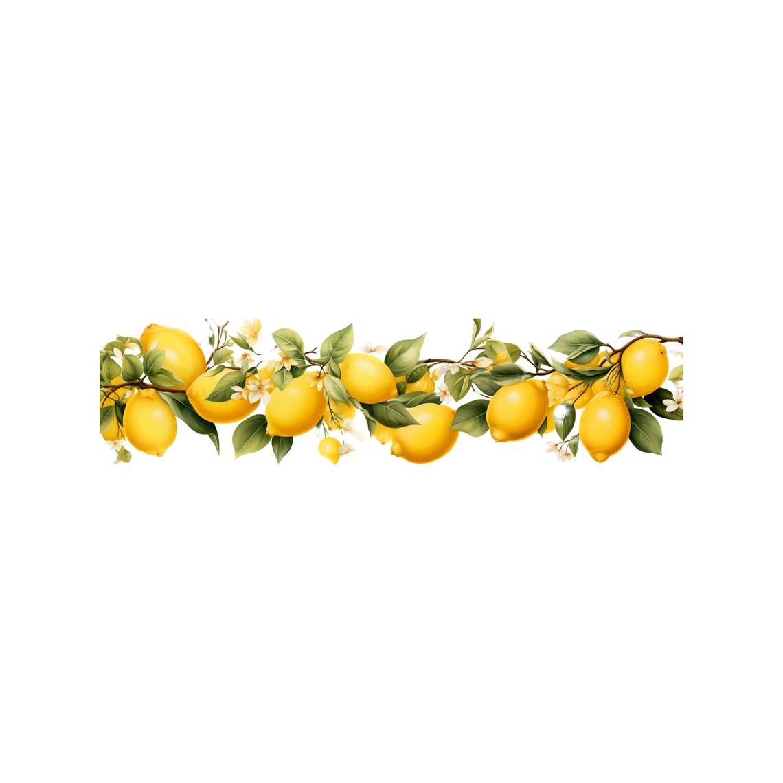 11 Lemon Branch Border Clipart, Lemon Flowers Watercolor Clip Art, High ...
