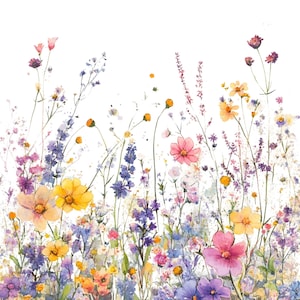 12 Watercolor Wildflower Clipart: Floral PNG Set (digital Download ...