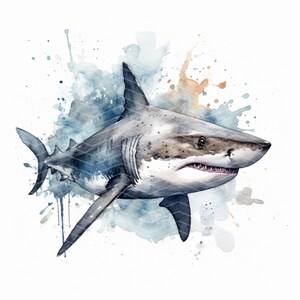 Watercolor Shark Clipart: Sea Fish Illustrations (JPG Digital Download ...